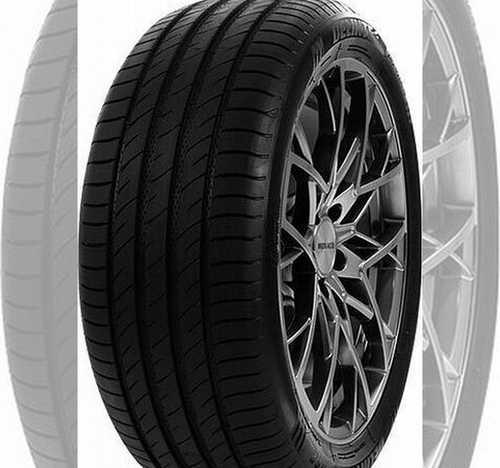 Delinte DS2 255/55 R18 109W