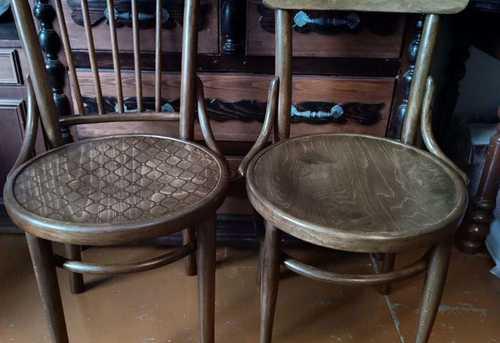 Раритетные венские стулья (реставрация)