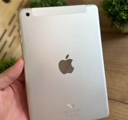 iPad mini 2