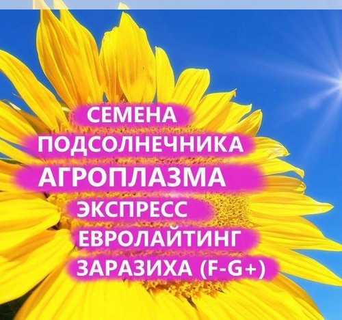 Семена подсолнечника Агроплазма, Уфа