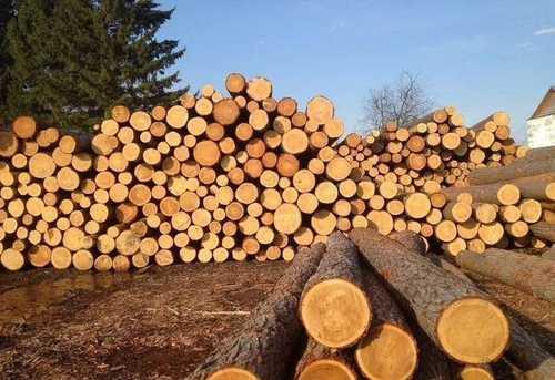 Продам деловой лес и дрова