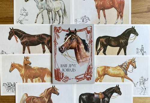 Открытки винтажные «Наш друг лошадь» 16 шт. 1988 г