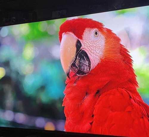 Телевизор Xiaomi Mi TV 4S 65"