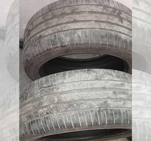 Hankook Ventus S1 Evo 2 K117 255/45 R19