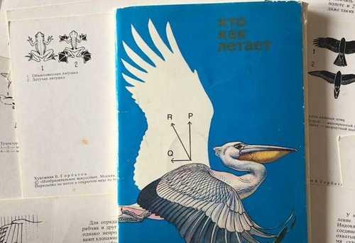 Набор комплект открыток 16 шт 1978 кто как летает