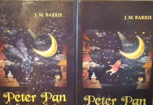 Книга Peter Pan in Kensigton Gardens на английском