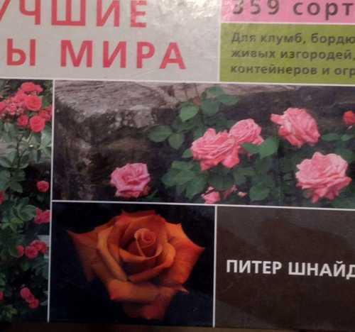 Книга. Розы