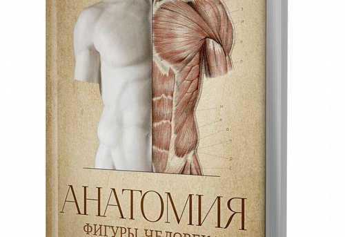Анатомия фигуры человека, В.А. Могилевцев
