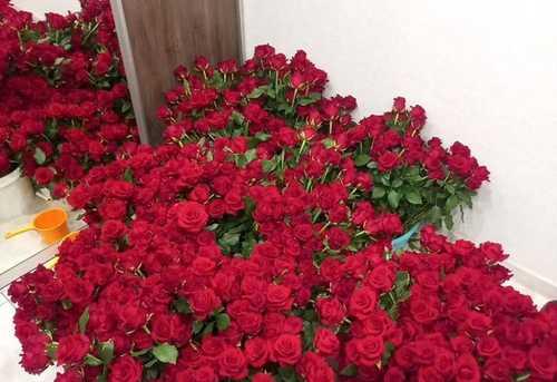 Красные розы букет