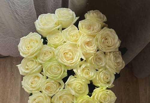 Белые розы, 25 белых роз, розы