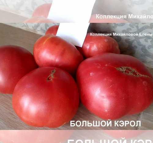 Крупный мясистый томат Большой Кэрол