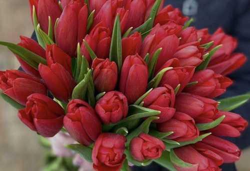 Цветы Тюльпаны к 8 марта с доставкой