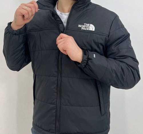 Куртка мужская The north face 700