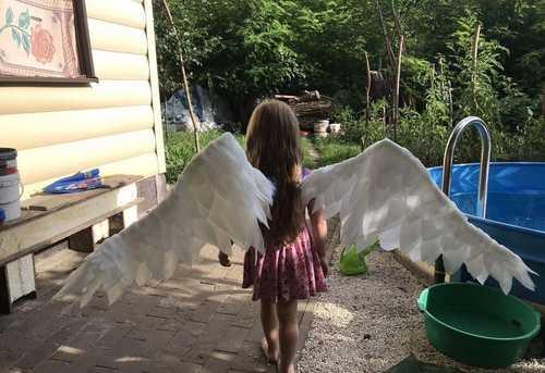 Ангельские крылья на лентах