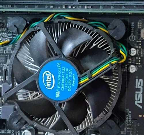 Intel pentium g4400 4 gb ddr4 asus h110m-r