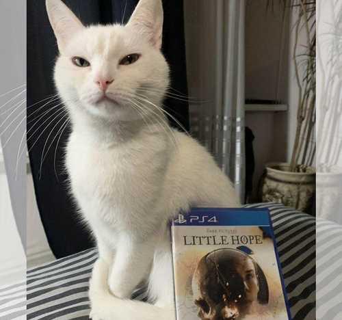 Игра Little Hope для PS4/PS5 (диск)