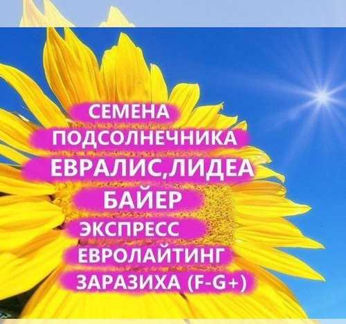 Семена подсолнечника Байер (Bayer), Челябинск