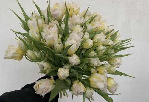 Тюльпаны белые пионовидные 25 букет