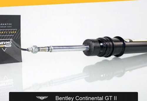 Амортизатор для Bentley Continental GT II задний