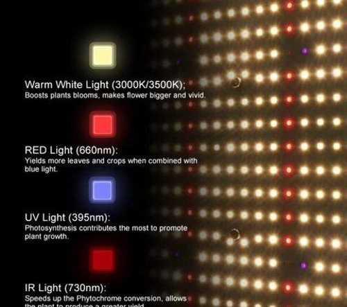 Quantum Board 240 Вт Samsung LM301H+UV IR
