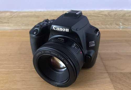 Canon 250D + 50mm f1.8 STM (пробег 3т)