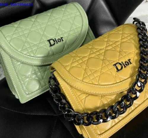 Сумка dior (Арт.98436)