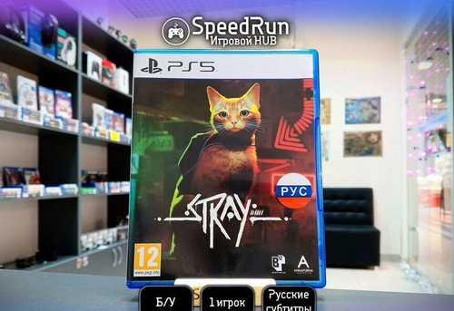 Stray для PS5. Есть обмен