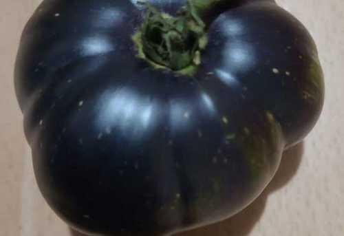 Семена. томат " Чёрный принц"