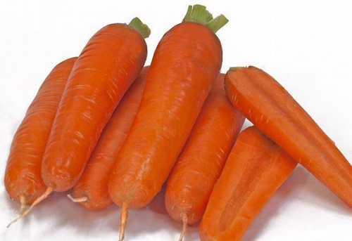 Семена сладкой и сочной моркови Тангерина F1