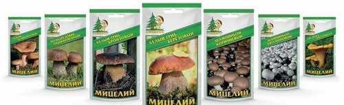Зерновой пакетированный мицелий грибов (85 сортов)