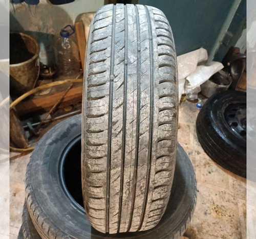 Nokian Tyres Nordman SX2 175/70 R14