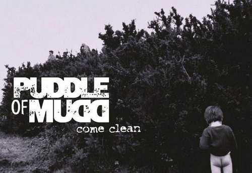 Виниловая пластинка Puddle Of Mudd – Come Clean