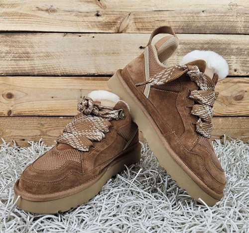 Угги Ugg Lowmel Sneaker Chestnut женские оригинал