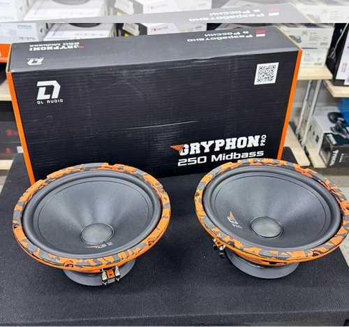 DL audio Gryphon Pro 250 Midbass