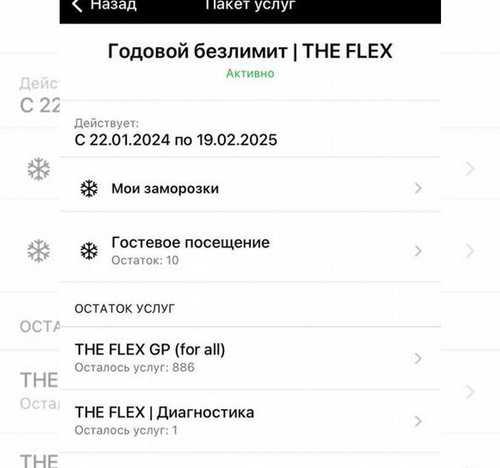 Абонемент в the flex безлимитный на 6 мес