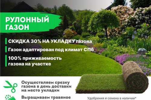 Рулонный газон Универсал для участка