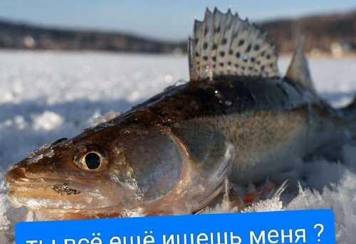 Карта глубин Волги Нижний Новгород