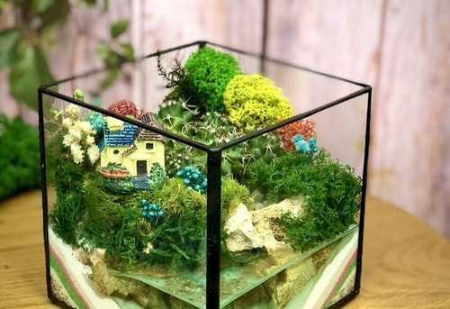 Флорариум в кубе с домиком