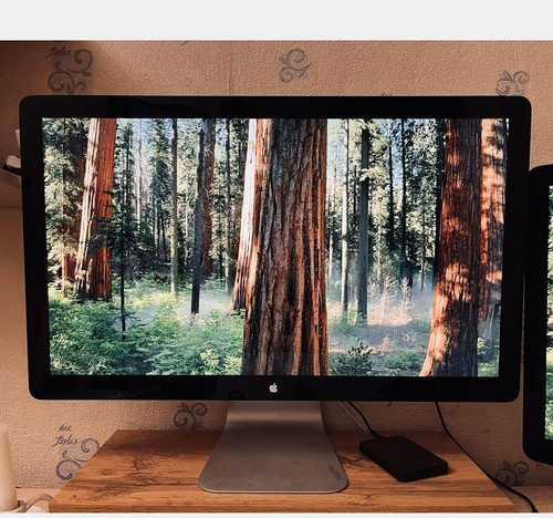 Apple thunderbolt display 27 (a1407)