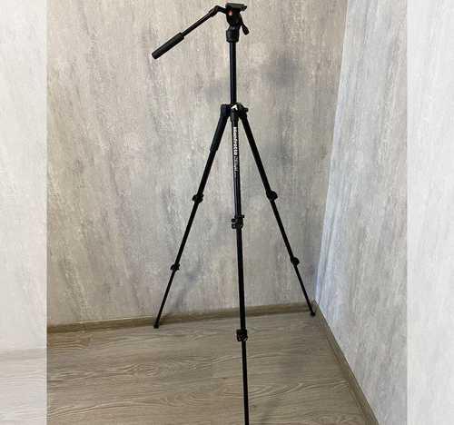 Штатив Manfrotto 290 Light с видеоголовкой Befree