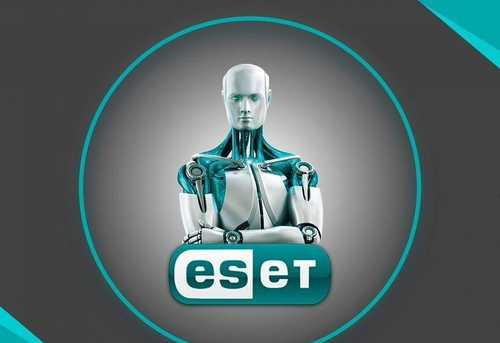 Eset Nod32 Internet Security 1 год, 90 дней