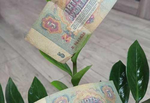 Купюры номиналом 5 рублей 1961 года СССР
