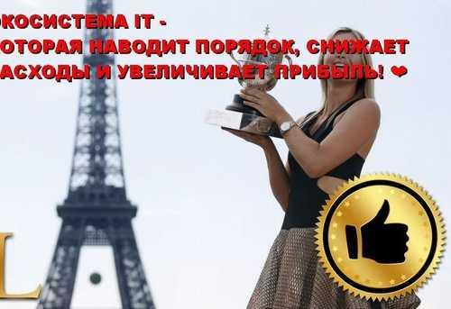 IT платформа для бизнеса. Арт. l-5847