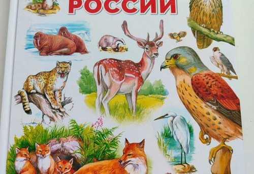 Книга "животные и птицы России"