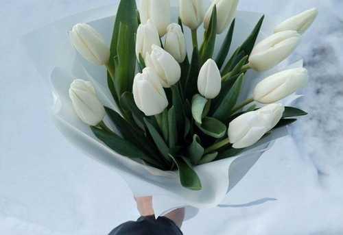 Белые Тюльпаны на 8 Марта