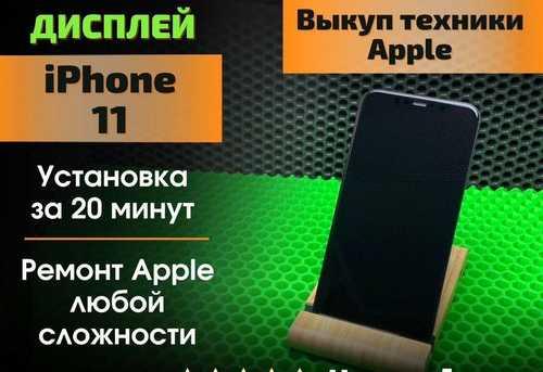 Дисплей iPhone 11 + установка с гарантией