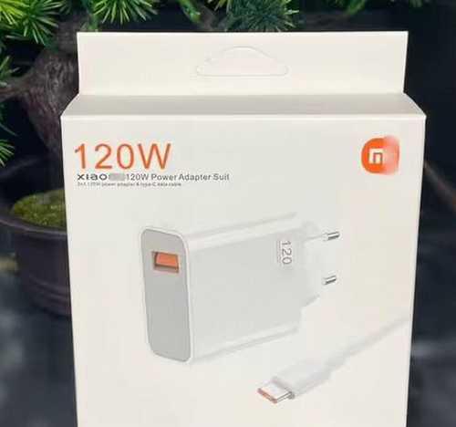 Быстрая зарядка Xiaomi 120w с проводом в комплекте