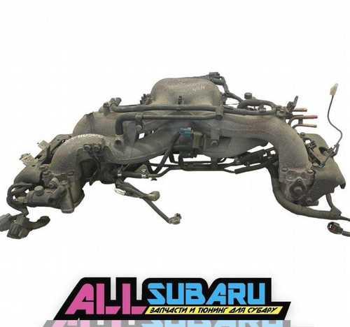 Впускной коллектор Subaru Forester SG5 EJ203 2003