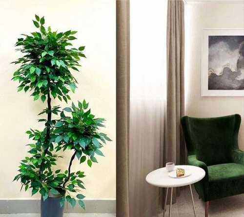 Фикус Бенджи цветок искусственный домой деревья