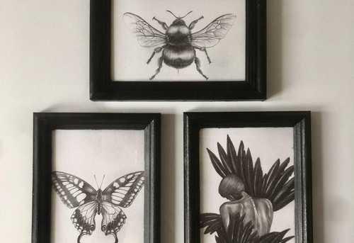 Картины в рамке карандашом 10х15см шмель, бабочка
